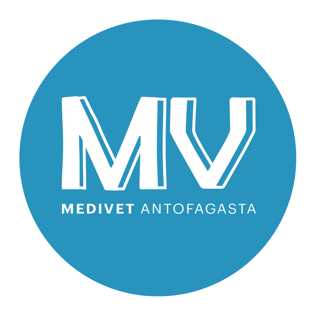 QUIENES SOMOS – MEDIVET